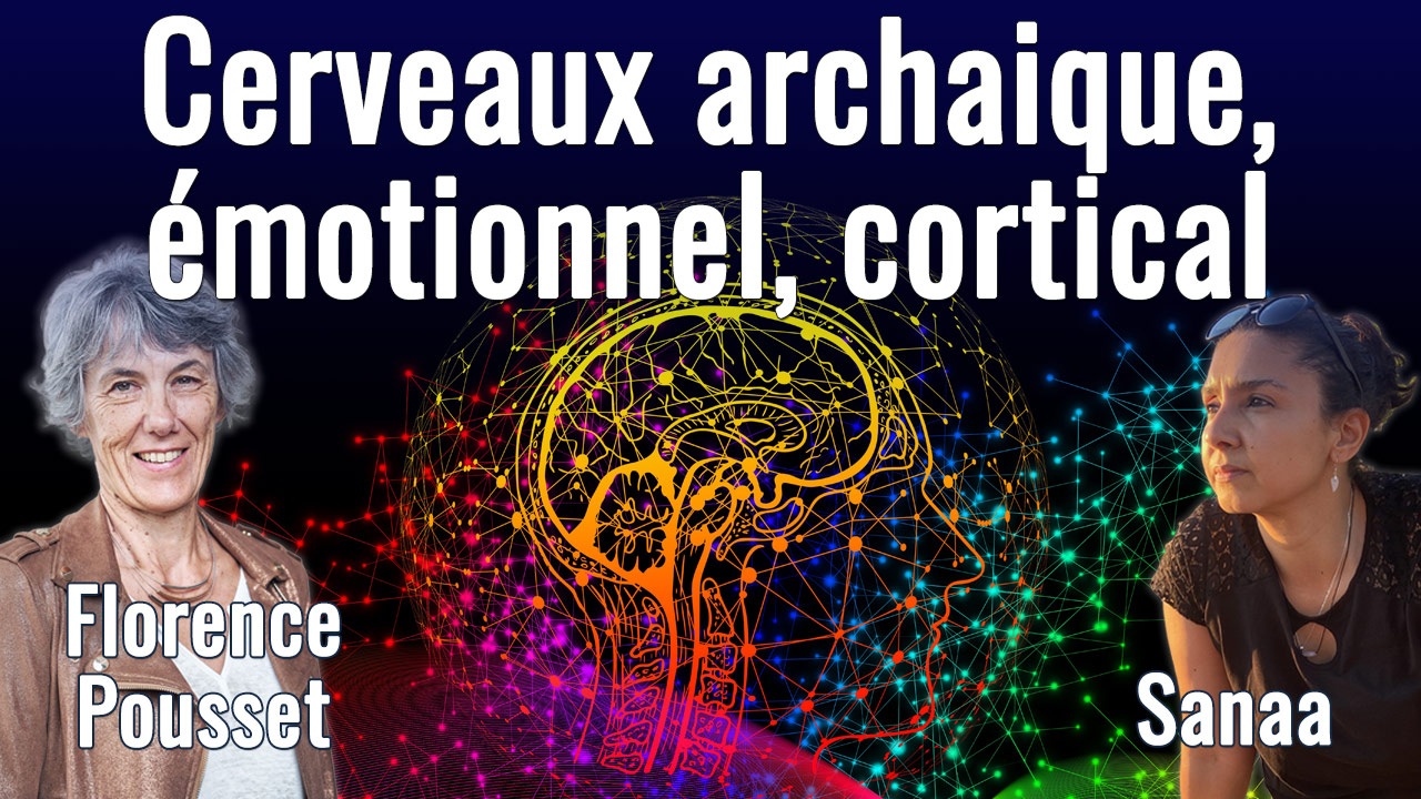 Le Corps En Évolution : De L’âme À L’incarnation, avec Florence Pousset ...